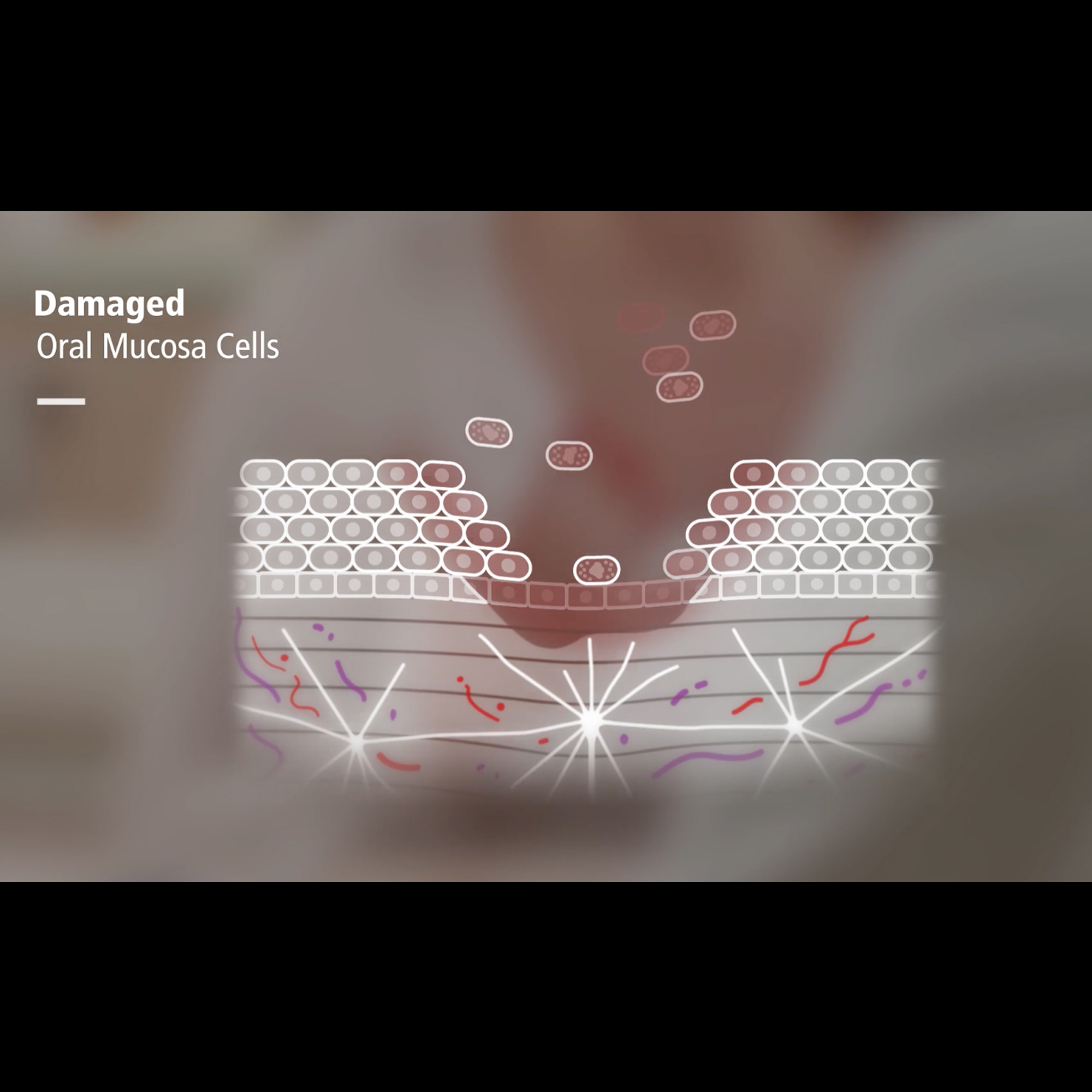 GRAPHIC & VIDEO - RezzonicoDesign